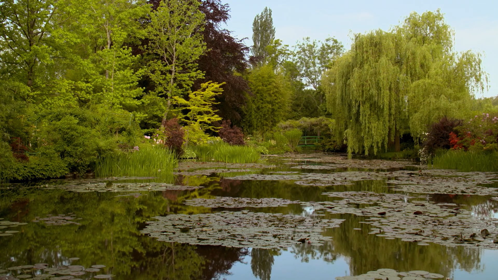 Exhibition on Screen - Painting the Modern Garden: Monet to Matis ...
